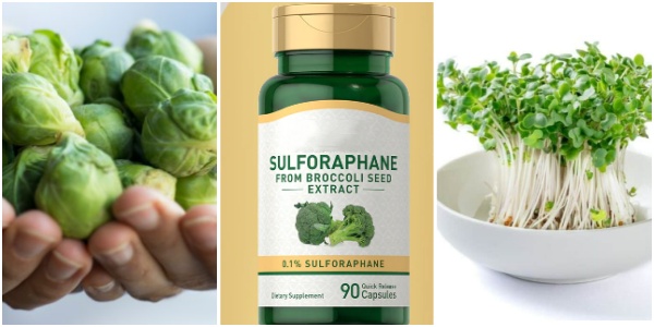 China Sulforaphane Powder Manufacturers Suppliers Factory - Wholesale Bulk - Wellgreen